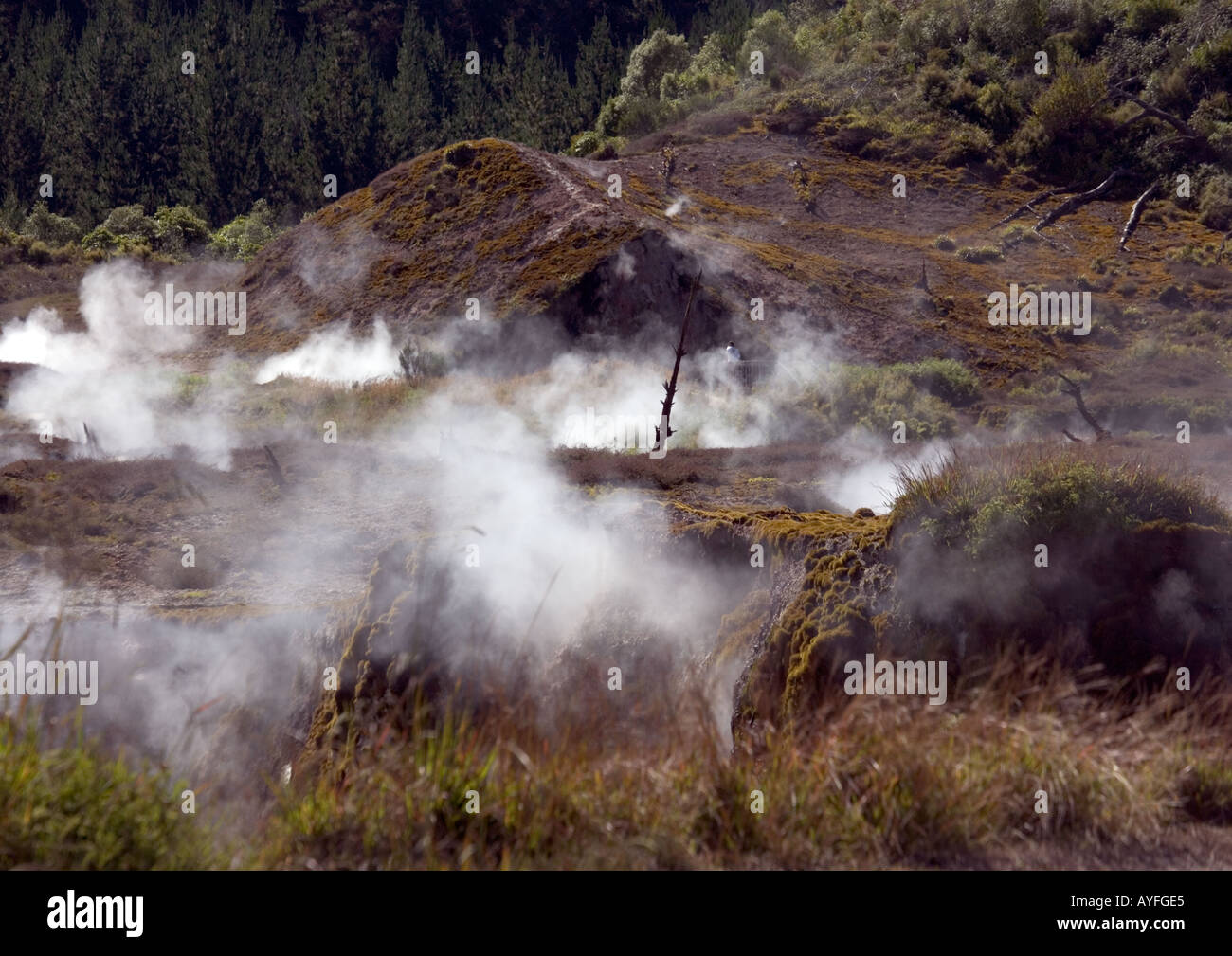 Steaming hot springs and small geysirs at Craters of the Moon area near ...