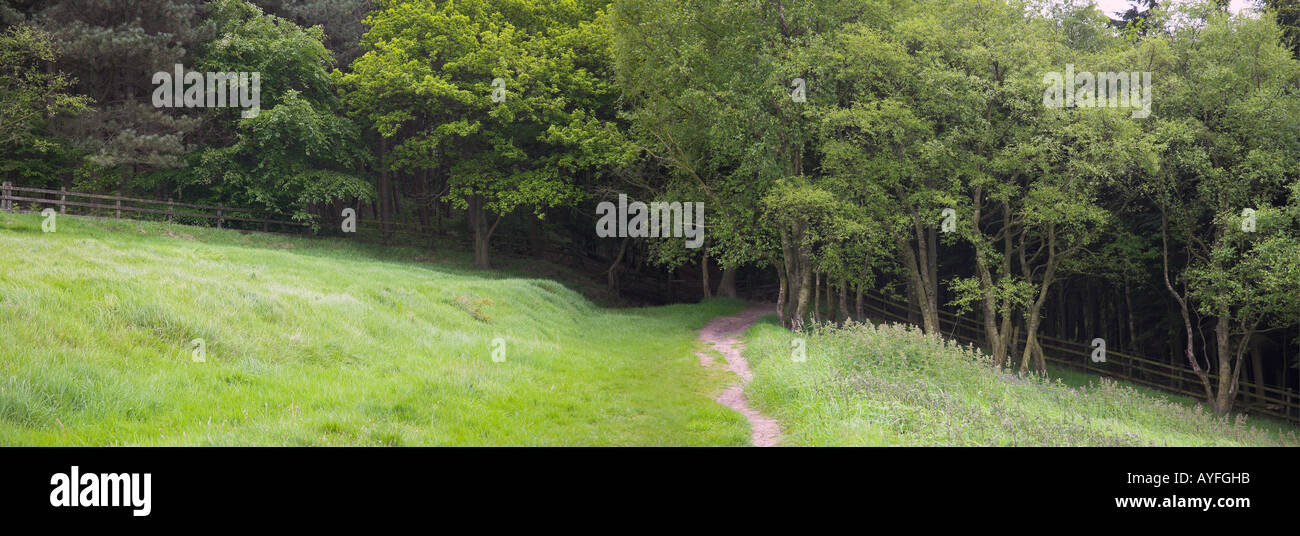 Healy nab hi-res stock photography and images - Alamy