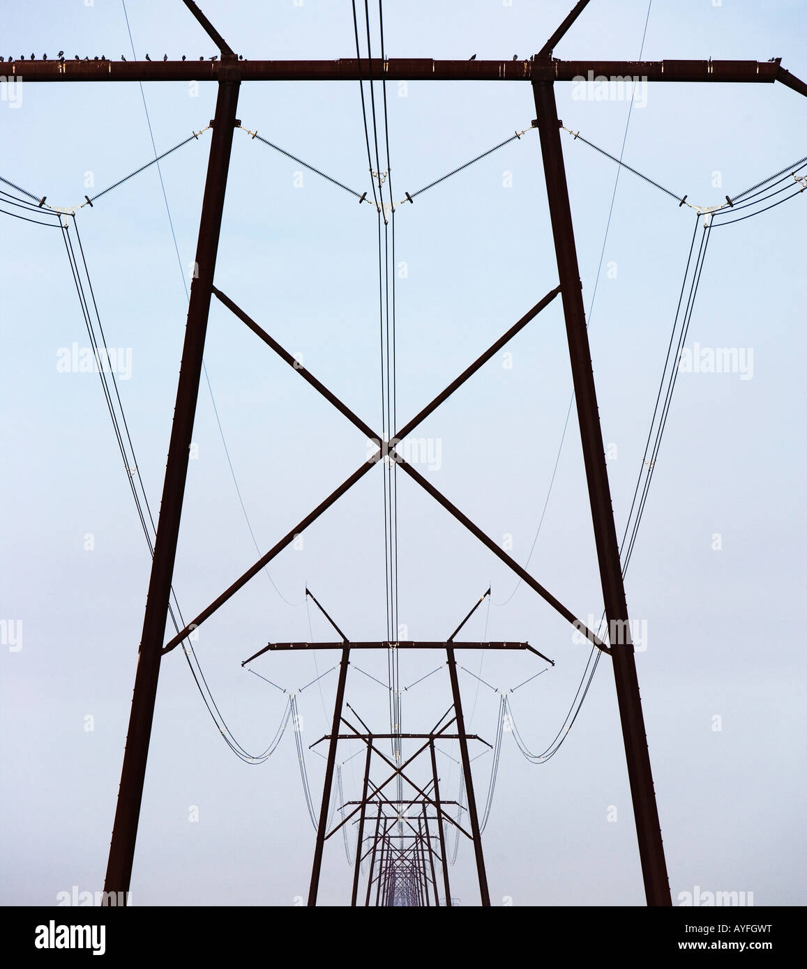 Electric lines electric poles hi-res stock photography and images - Alamy