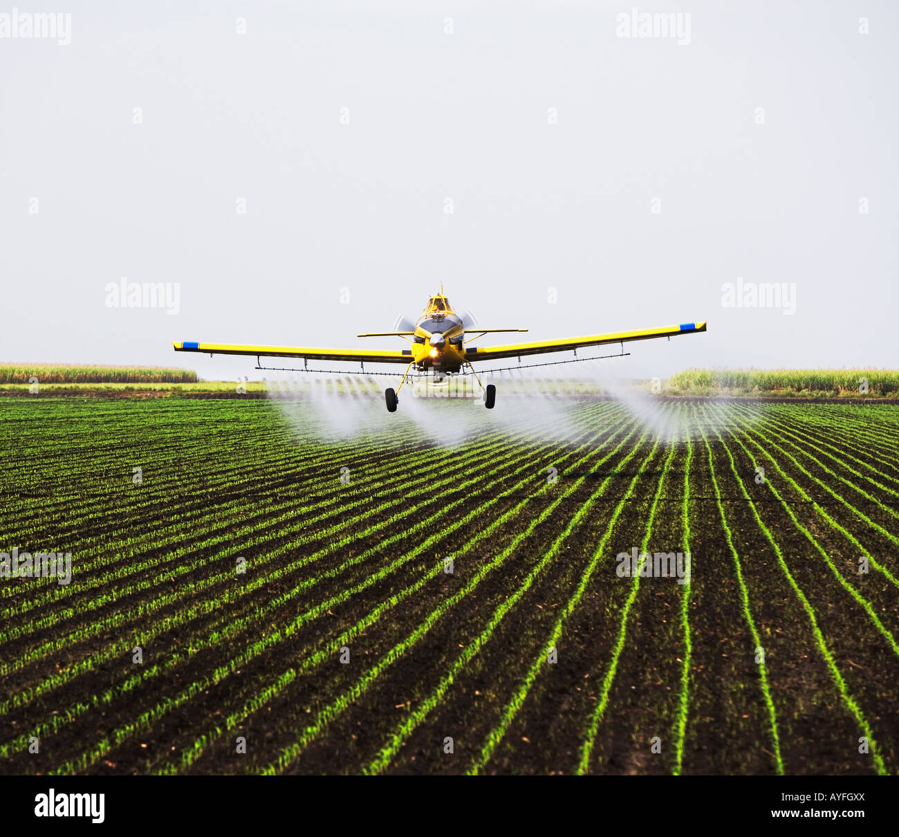 Crop duster hi-res stock photography and images - Alamy