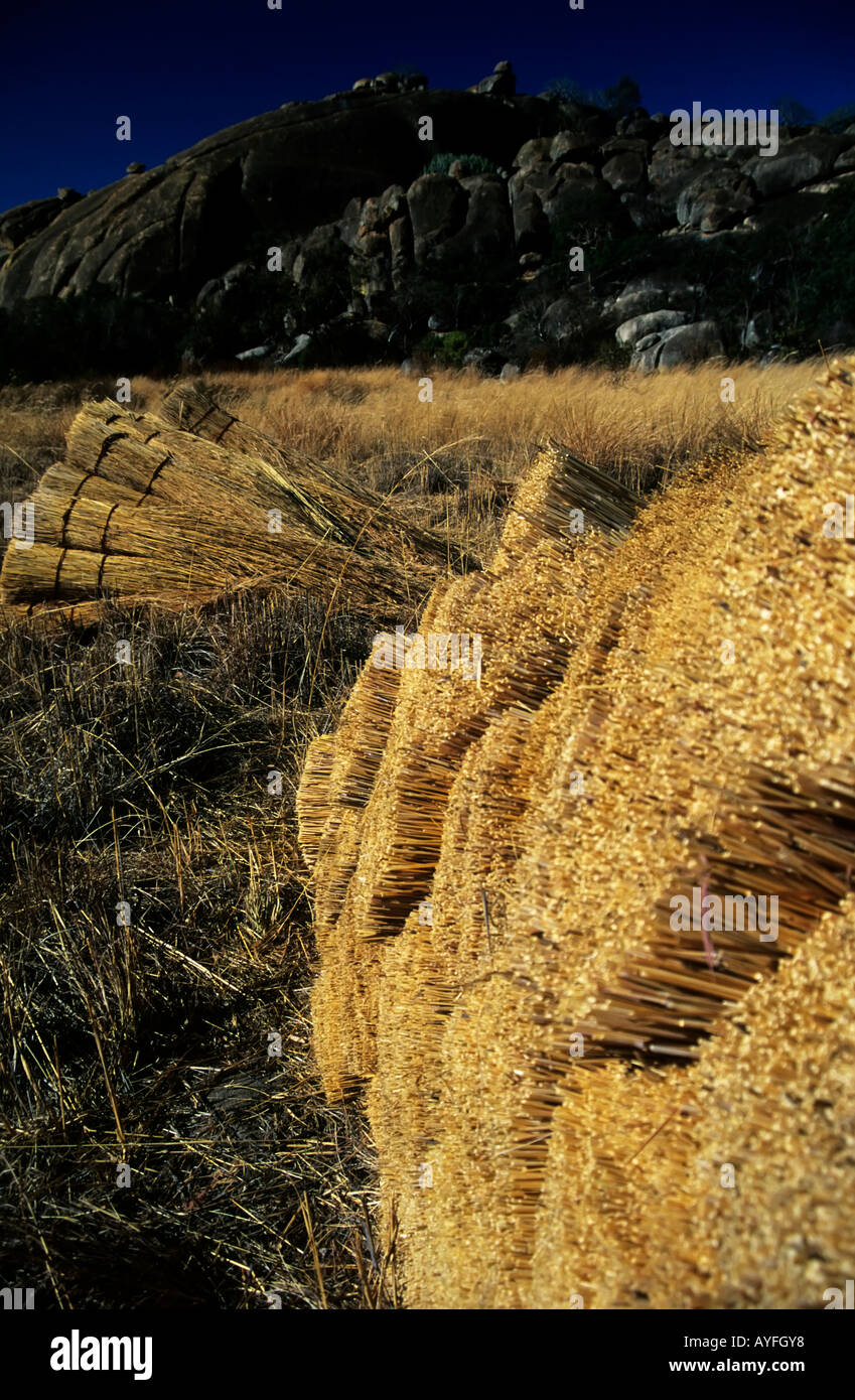 Stacked thatch for roofs hi-res stock photography and images - Alamy