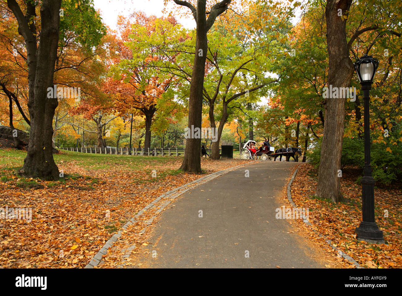 Carriages In The United States High Resolution Stock Photography and ...