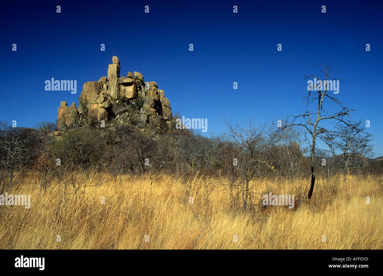 Matopos High Resolution Stock Photography and Images - Alamy