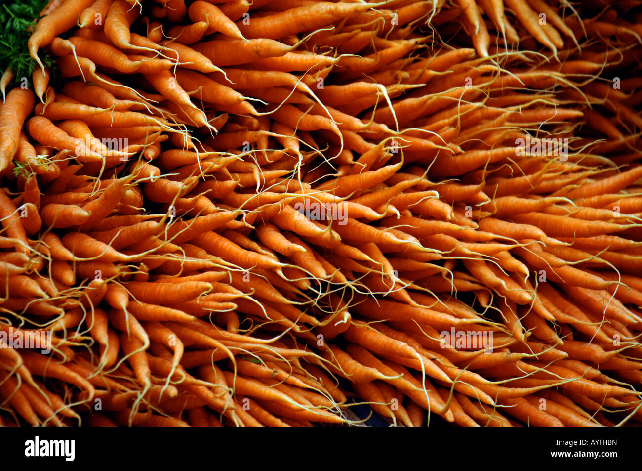 A STACK OF CARROT BUNCHES AT THE FARMERS MARKET IN STROUD ...