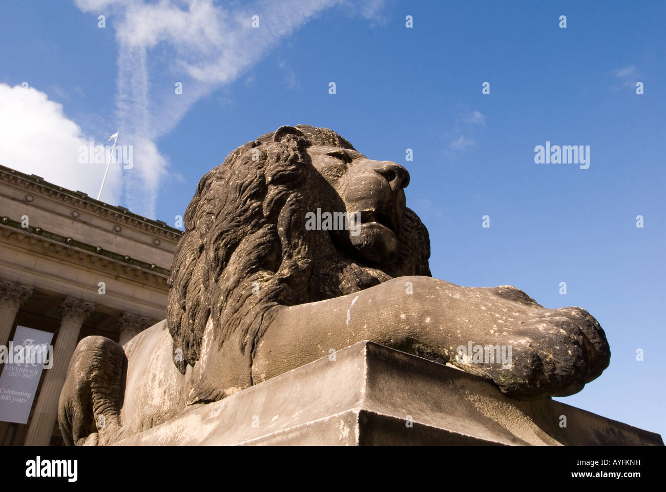 Statue of lion outside St Georges Hall, Liverpool, England, UK Stock ...