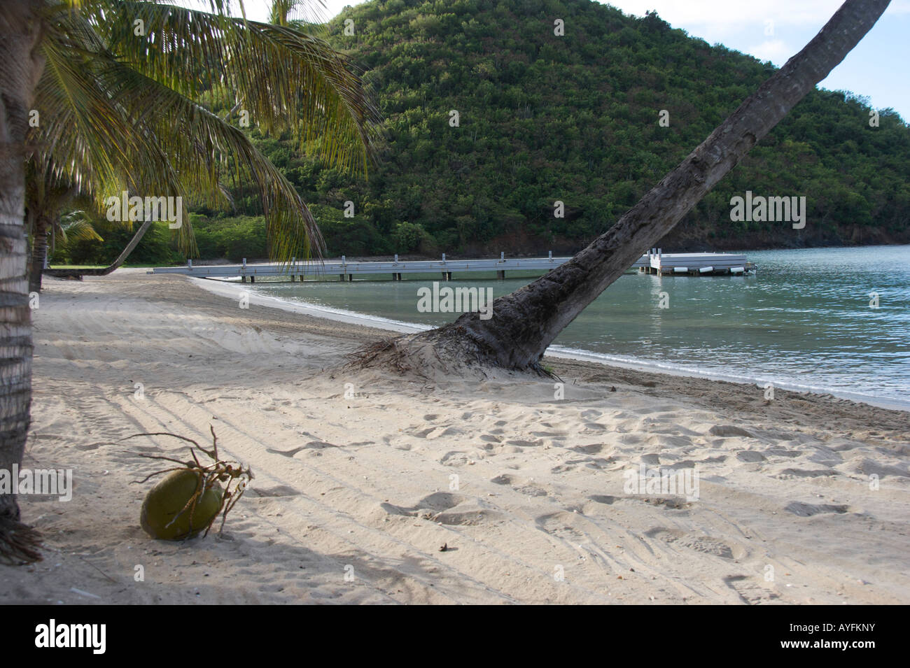 A Caribbean beach scene Stock Photo - Alamy