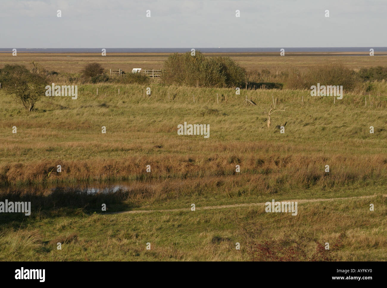 Saltfleetby-Theddlethorpe National Nature Reserve in Lincolnshire ...