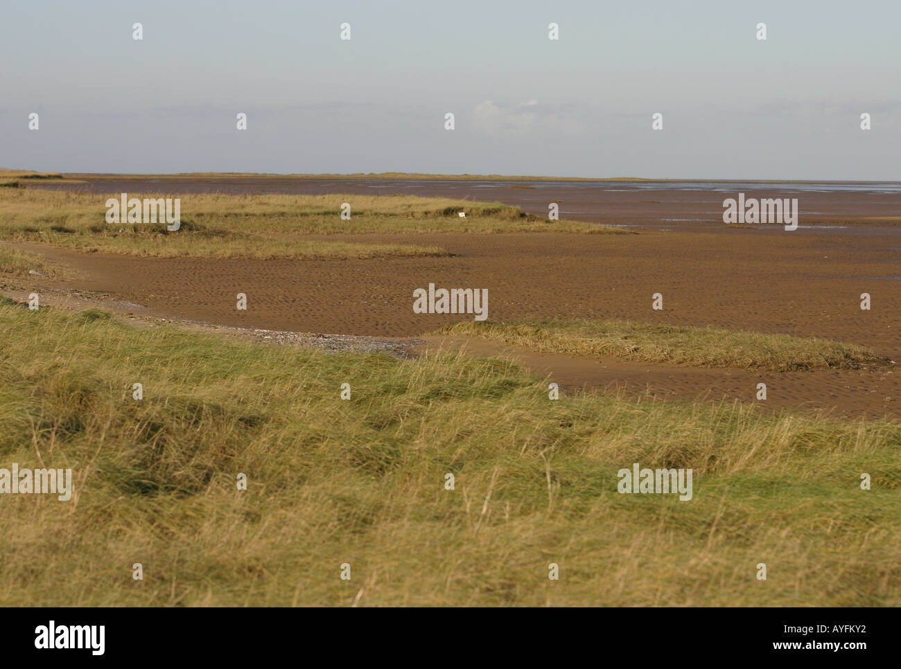 Saltfleetby-Theddlethorpe National Nature Reserve in Lincolnshire ...