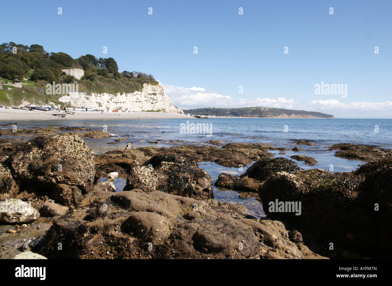 Beer Devon England Stock Photo - Alamy