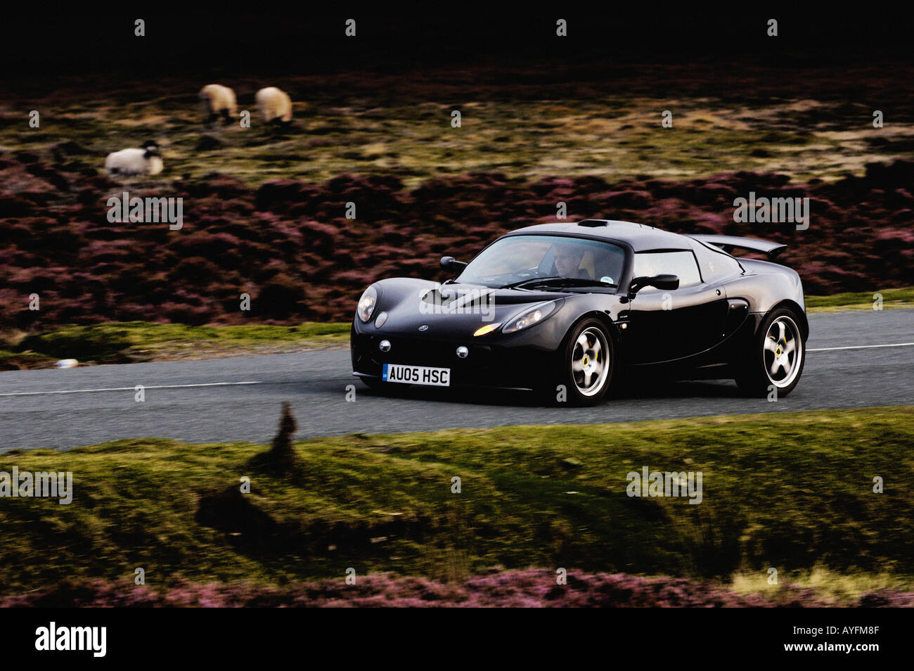 Black Lotus Exige 240r car seen against the rural background of the ...