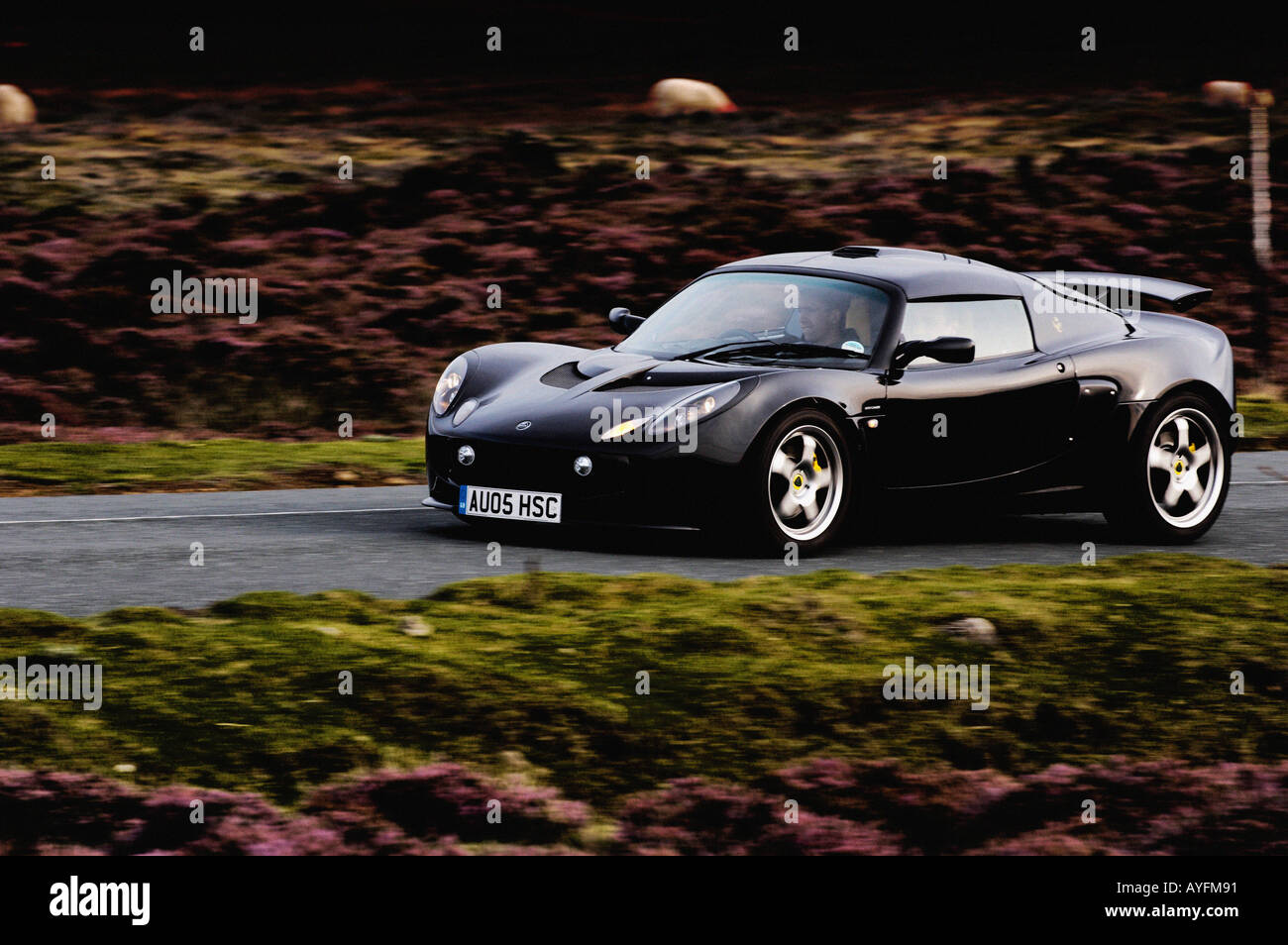 Black Lotus Exige 240r car seen against the rural background of the ...