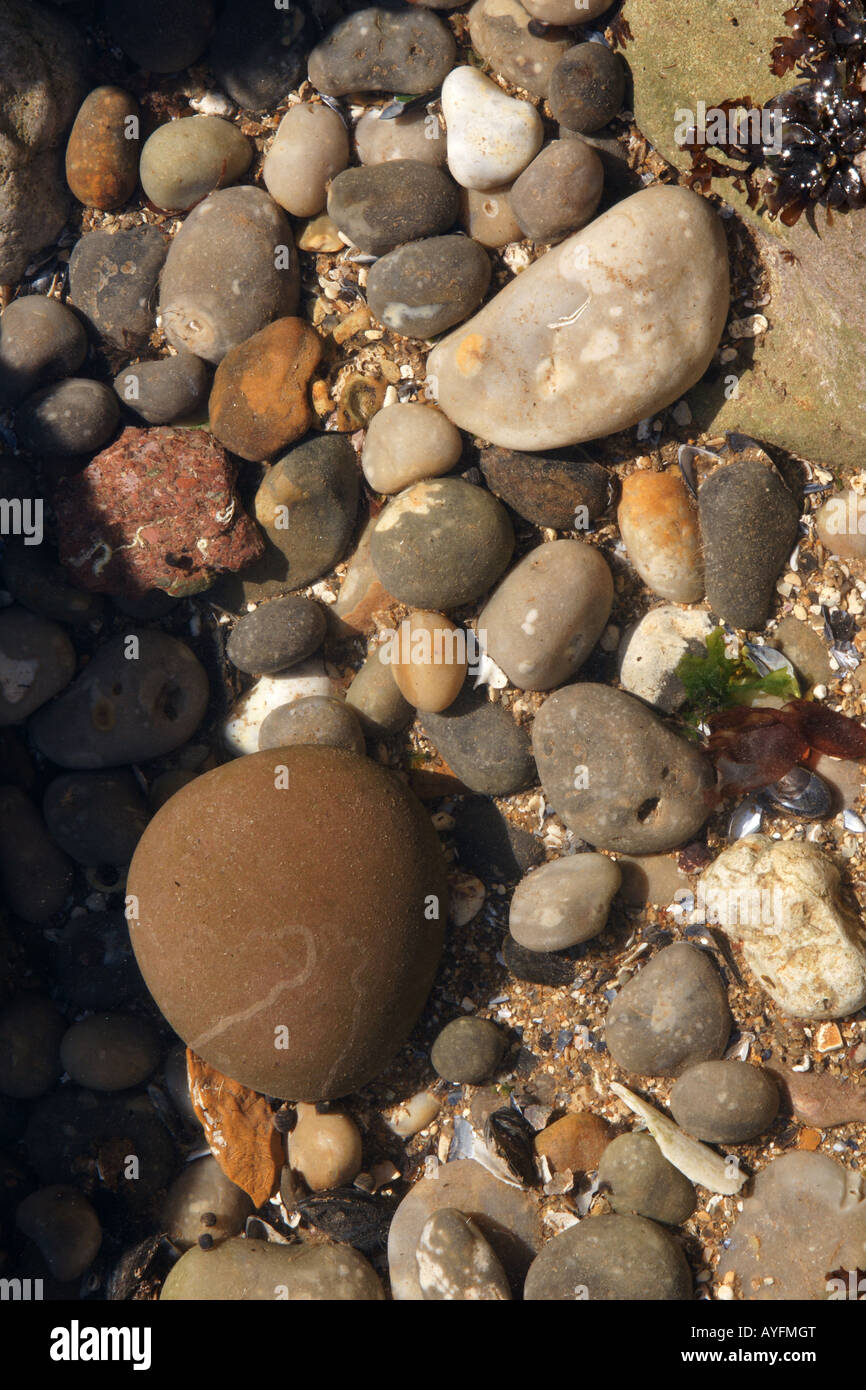 Pebbles on the Beach Beer Devon England Stock Photo - Alamy