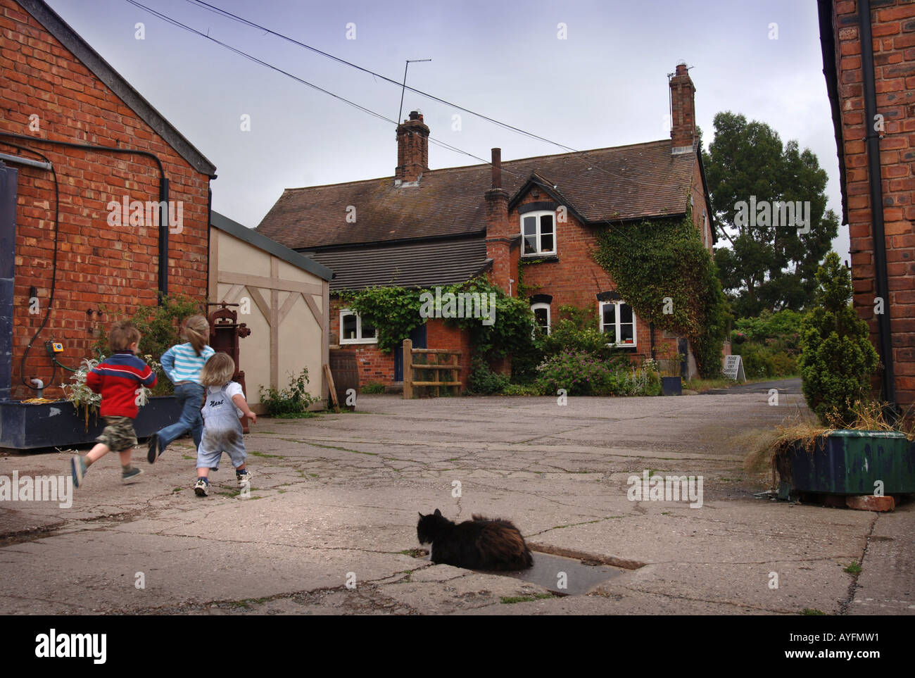 CHILDREN RUNNING ACROSS A FARMYARD WITH A CAT AT MAYNARDS FARM ...