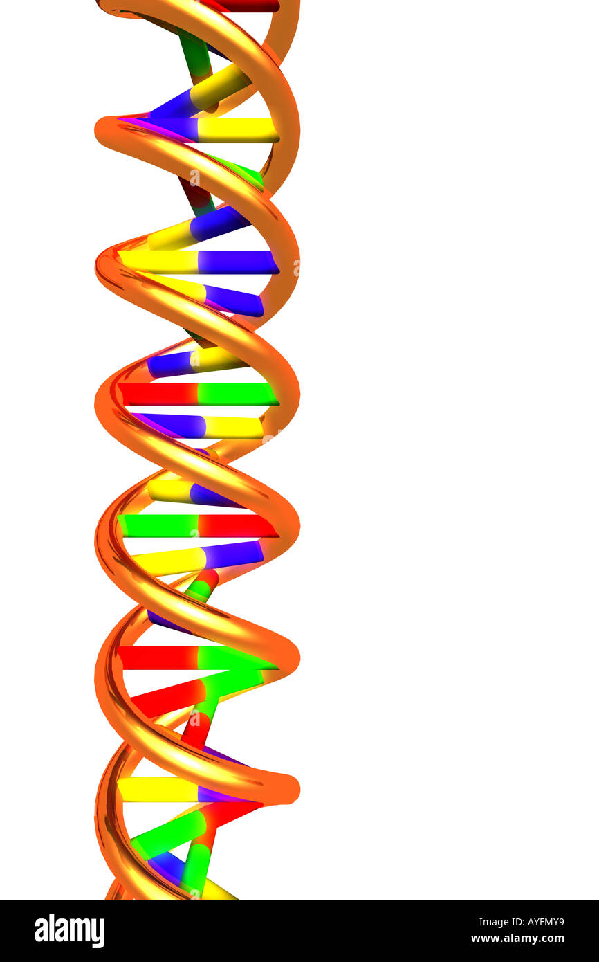 Genetic engineering base sequence hi-res stock photography and images ...
