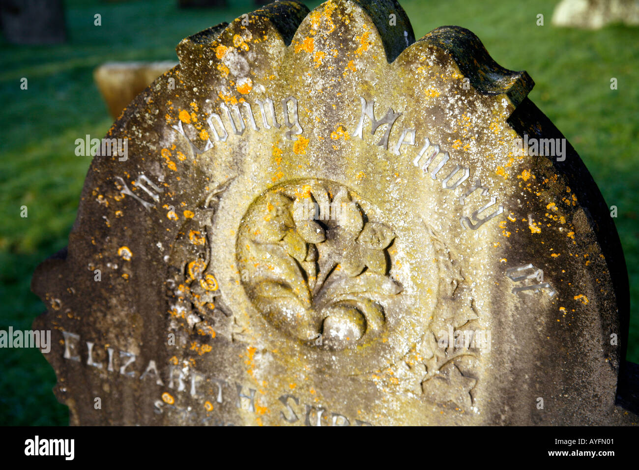 In loving memory hi-res stock photography and images - Alamy