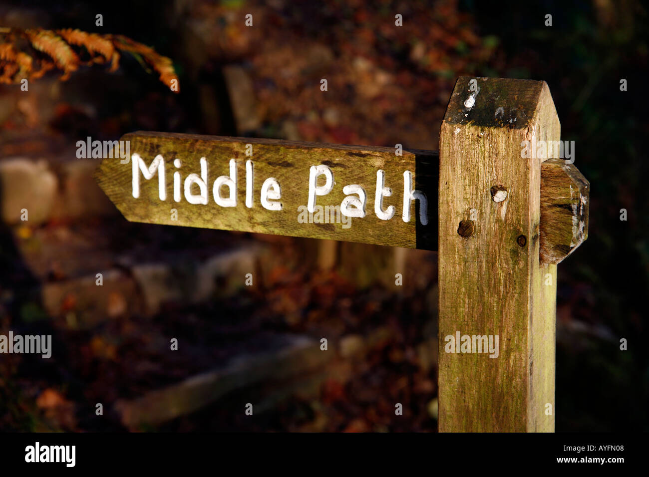 Politics sign hi-res stock photography and images - Alamy