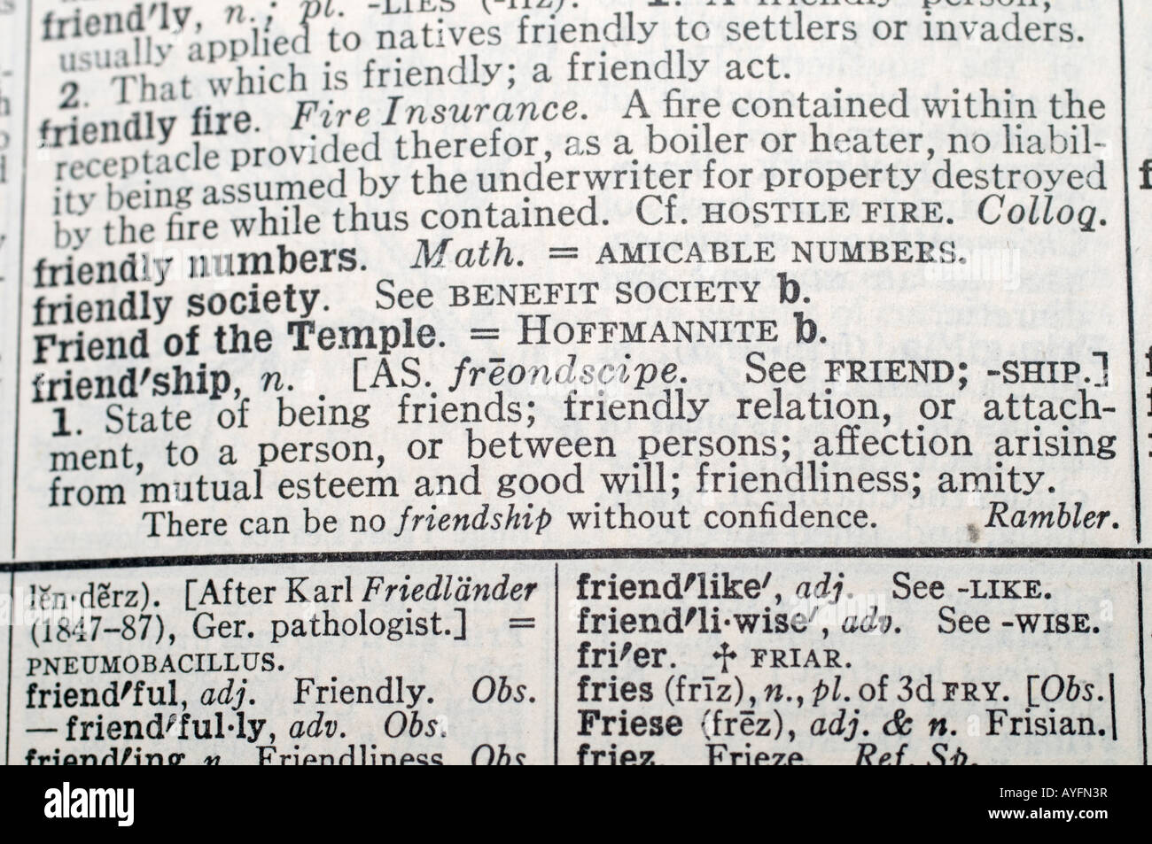 A close up selective focus on the definition of Friendship Stock Photo ...