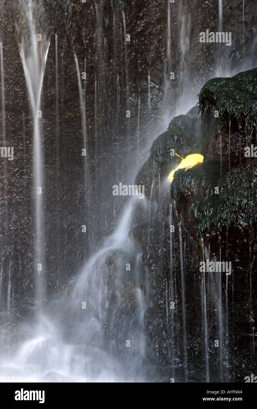 Leaf Trapped in Waterfall Stock Photo - Alamy