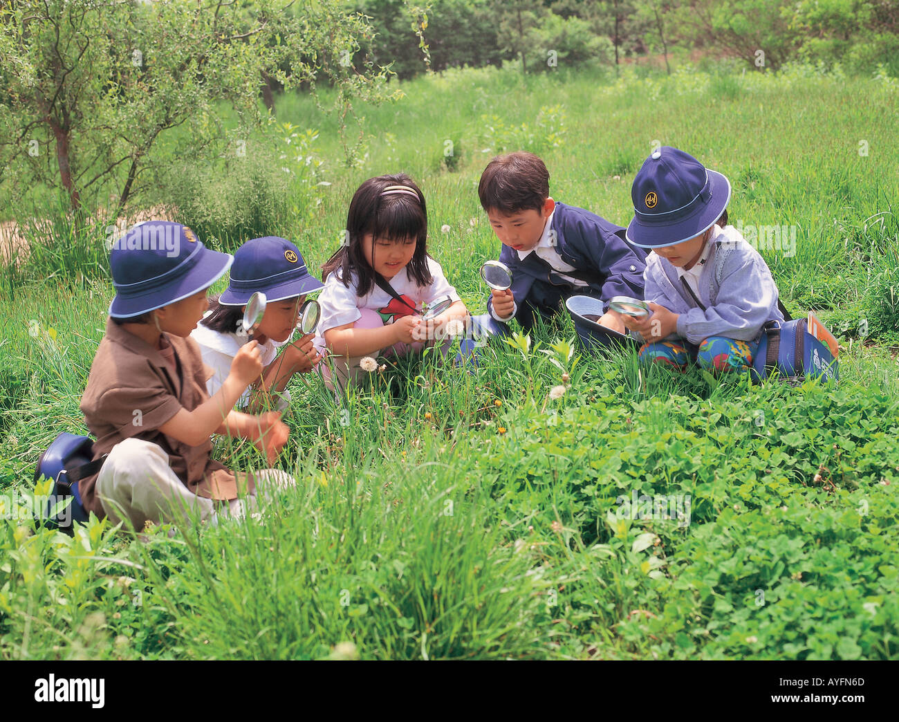 Kids on Forest Stock Photo - Alamy