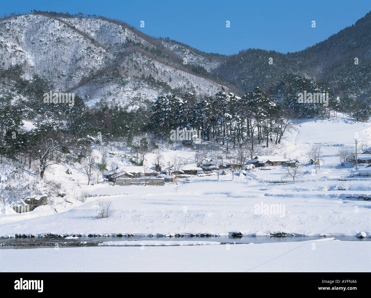 Trees with Mountain Stock Photo - Alamy