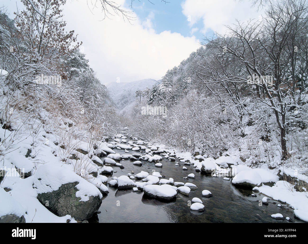 Snow on Rock Stock Photo - Alamy