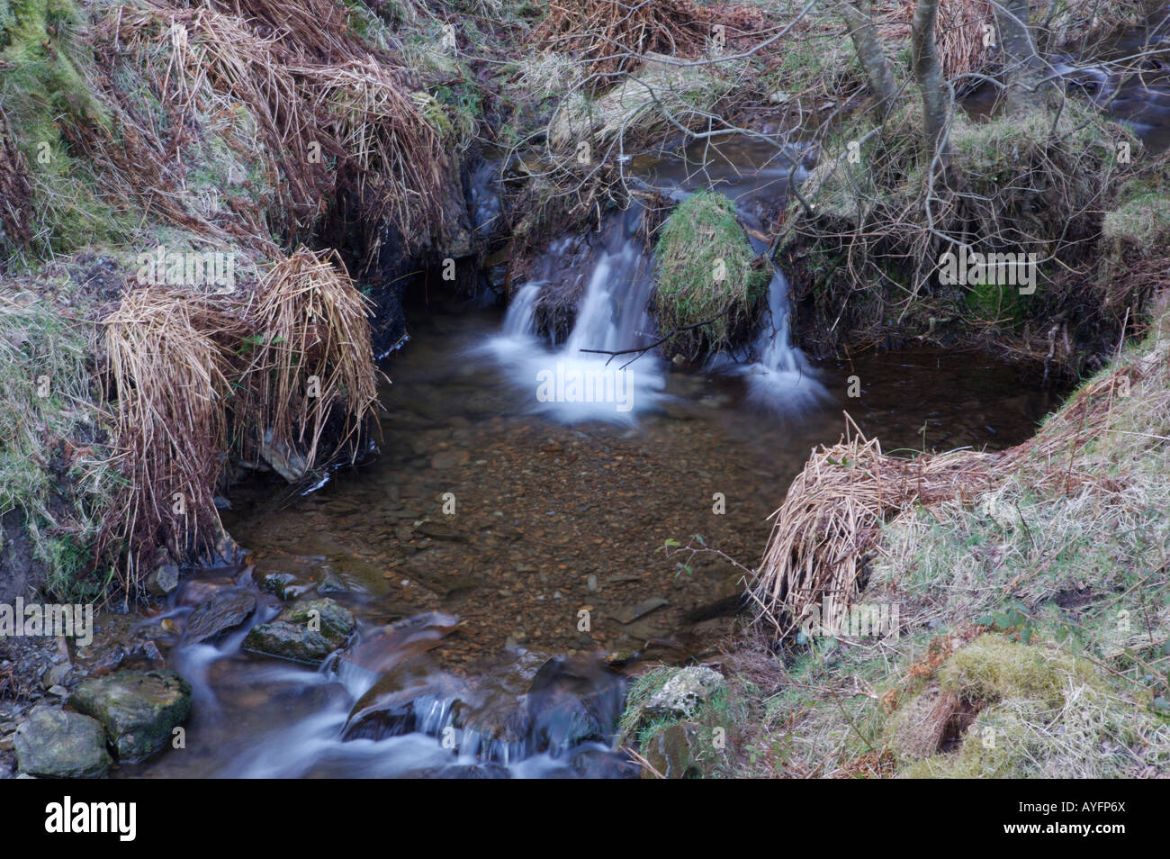 A small waterfall in a forest in the Lake District Stock Photo - Alamy