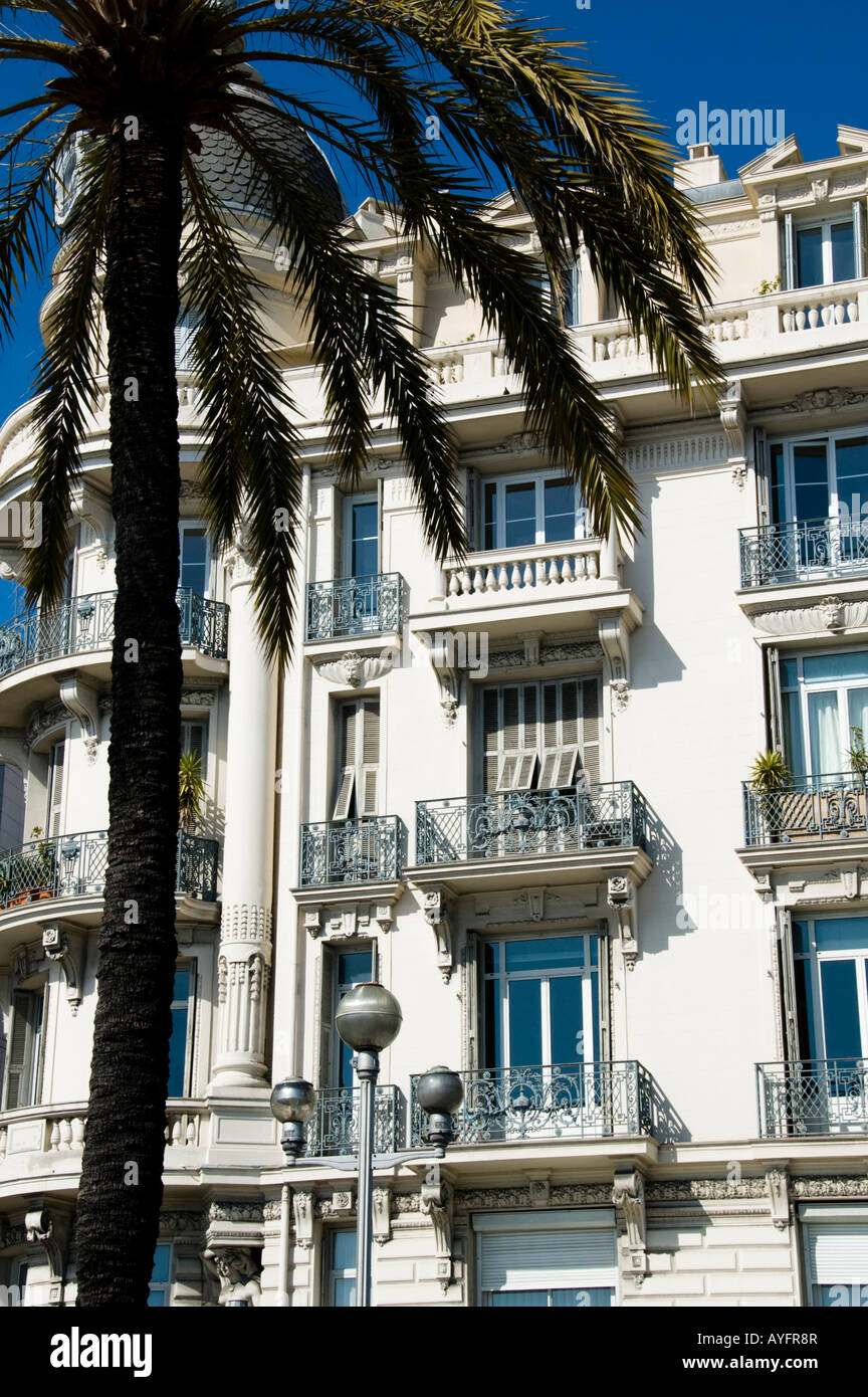 Old building palm tree hi-res stock photography and images - Alamy