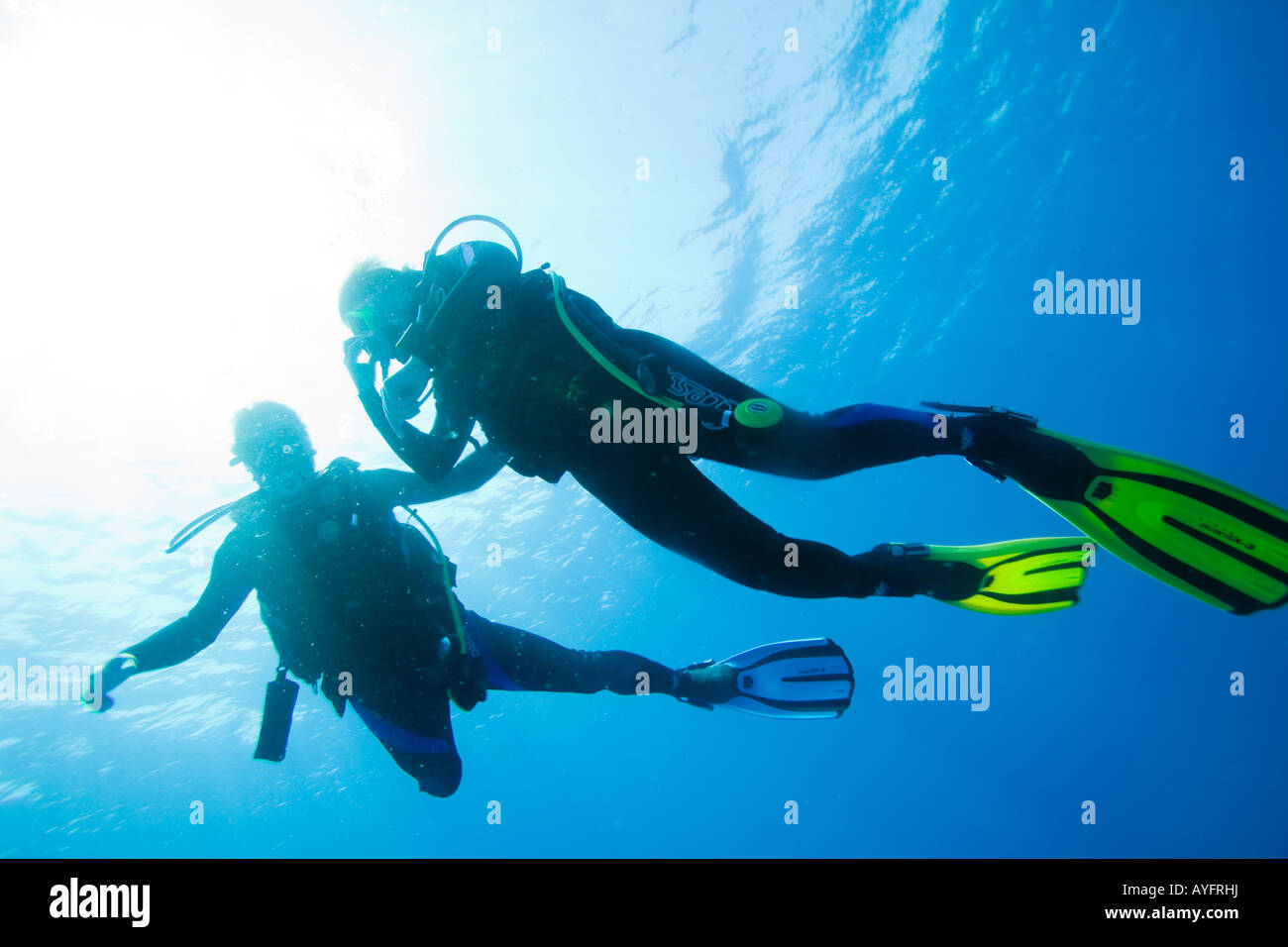 Scuba divers ascending hi-res stock photography and images - Alamy