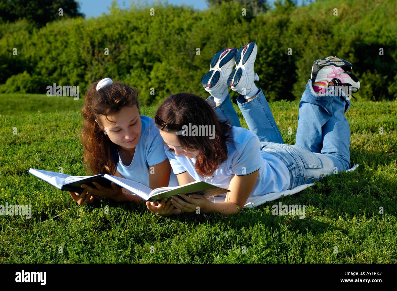 Studying in the nature Stock Photo - Alamy