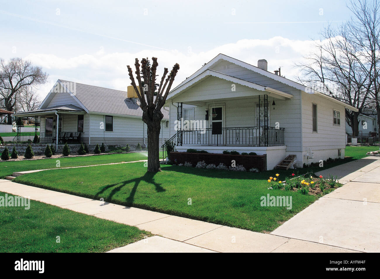 House with Tree Stock Photo - Alamy