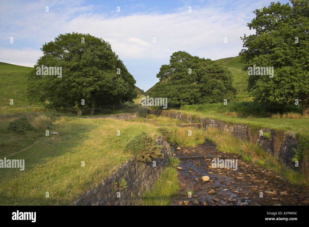 White coppice hi-res stock photography and images - Alamy
