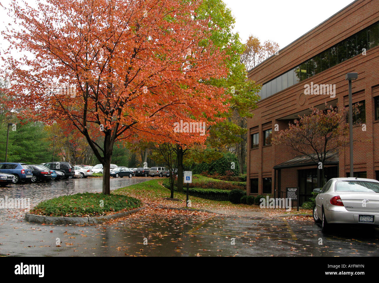 Office building's parking lot after rain, autumn foliage Stock Photo ...