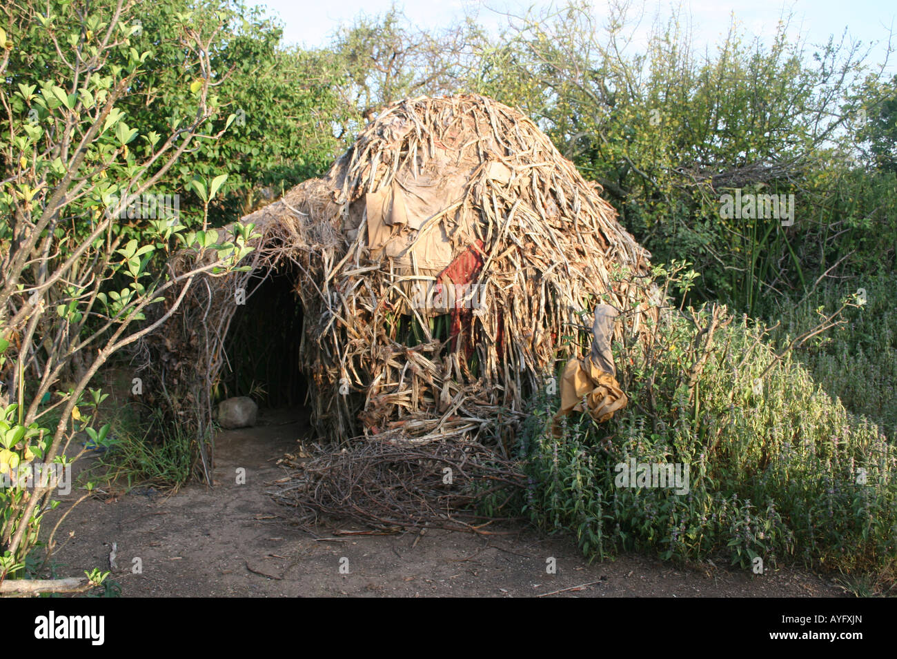 Hunter gatherers house hi-res stock photography and images - Alamy