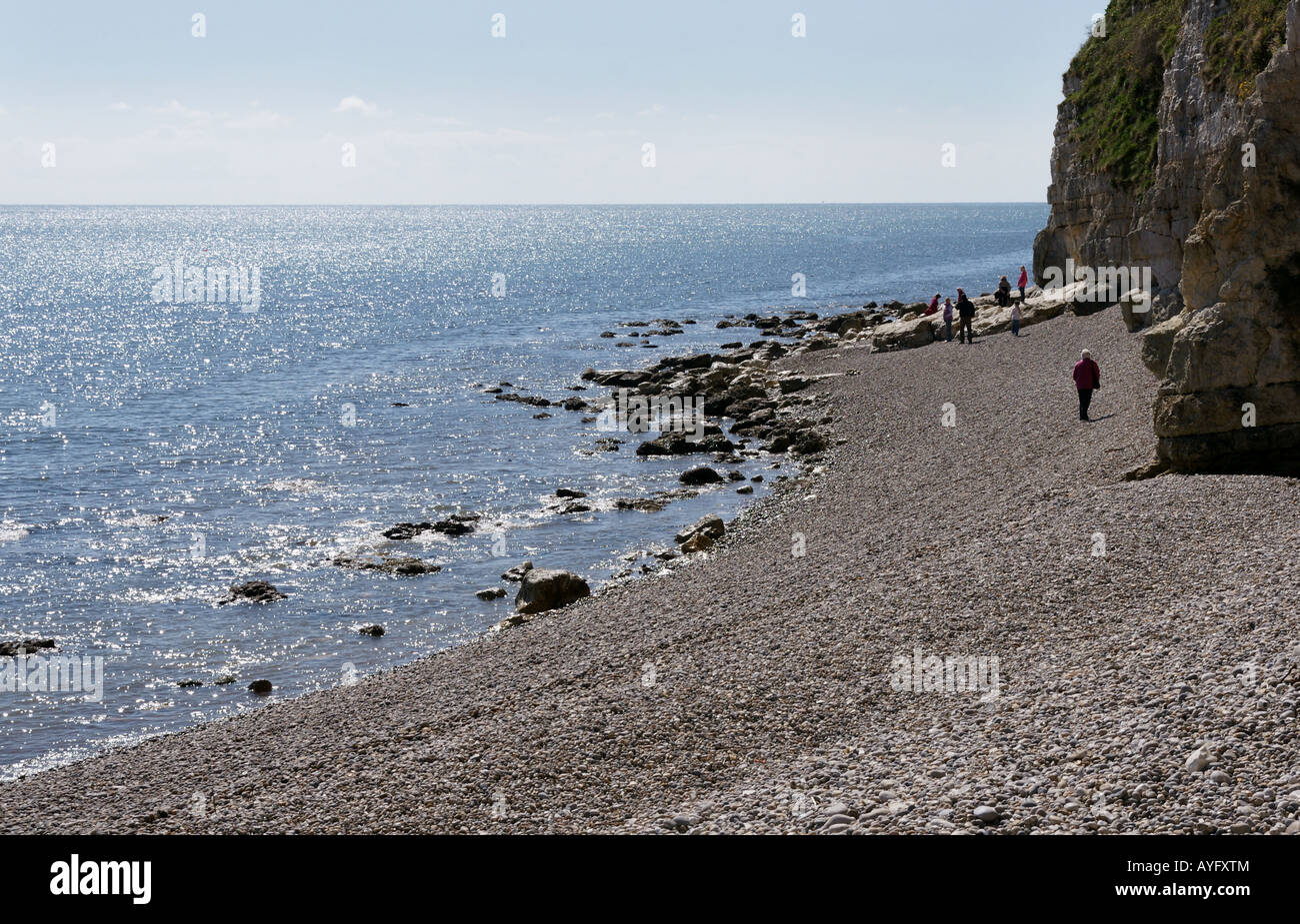 Pebble beach devon hi-res stock photography and images - Alamy