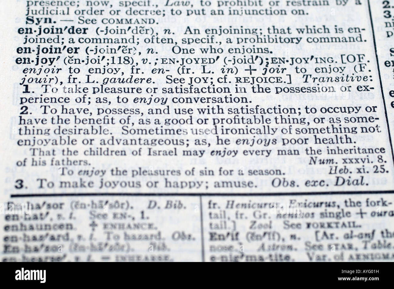 A close up selective focus on the definition of Enjoy Stock Photo - Alamy