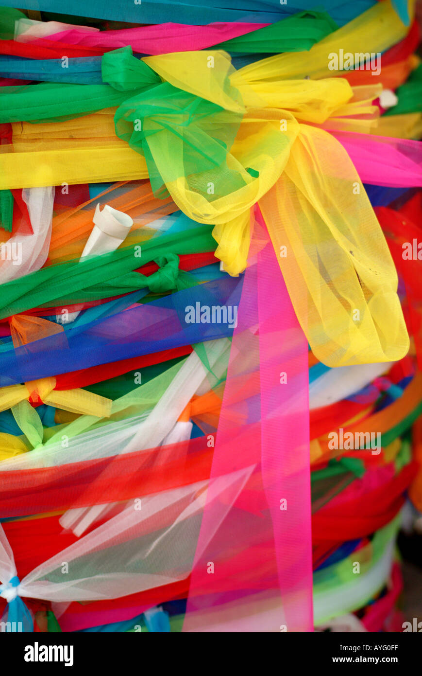 Ribbons tied round sacred Bo tree Wat Mahabut Thailand Stock Photo - Alamy