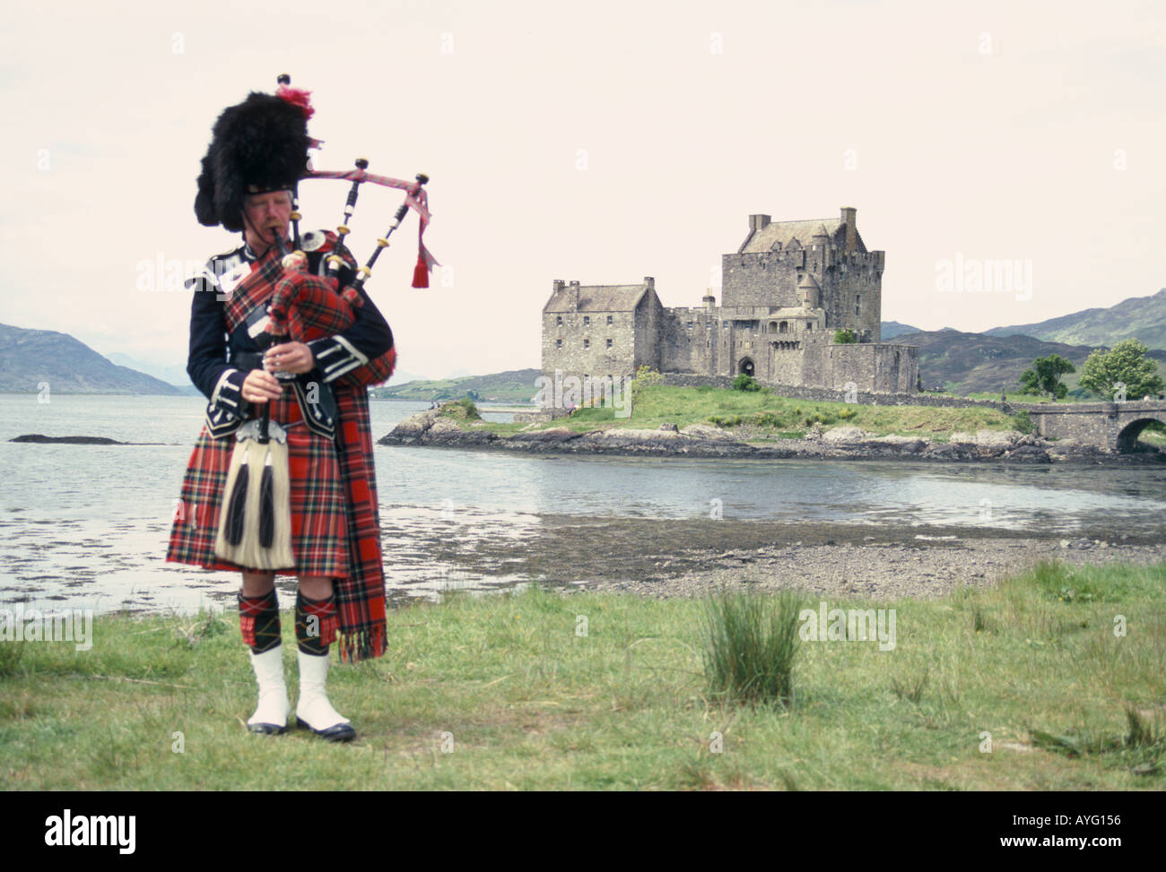 Scottish piper Eilean Donan castle Scotland UK Stock Photo - Alamy