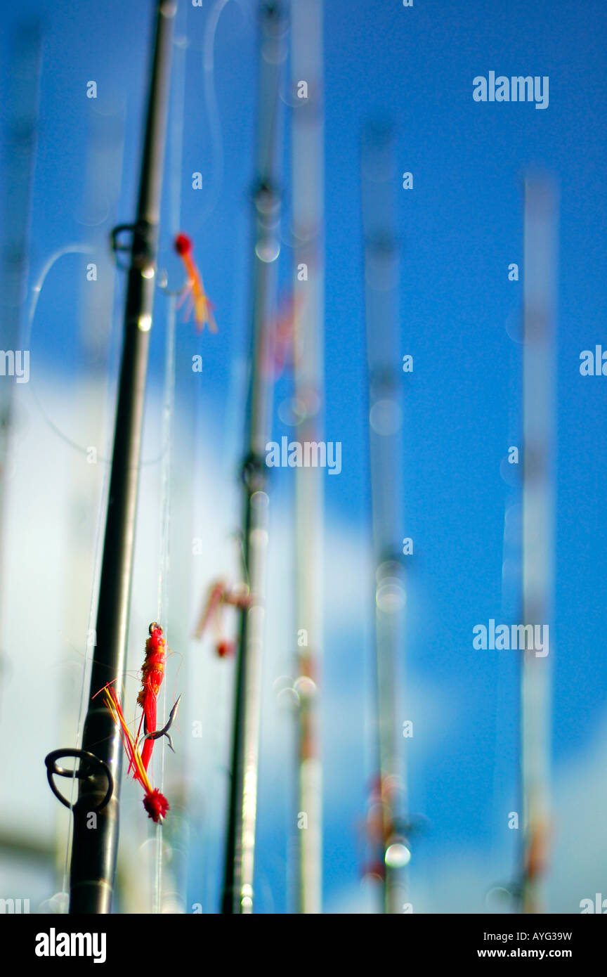 Fishing poles hi-res stock photography and images - Alamy
