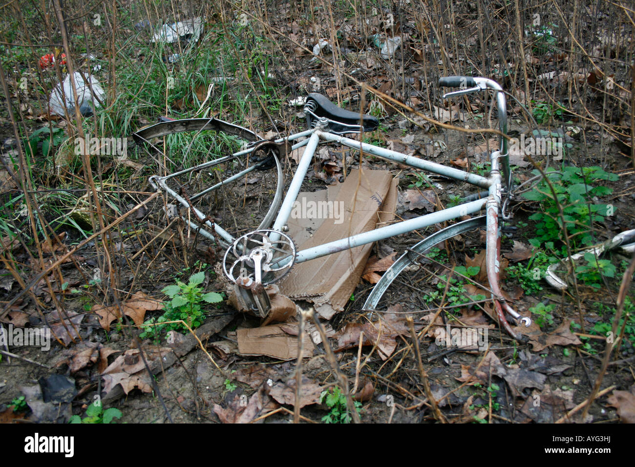 damaged bike frame in field Stock Photo - Alamy