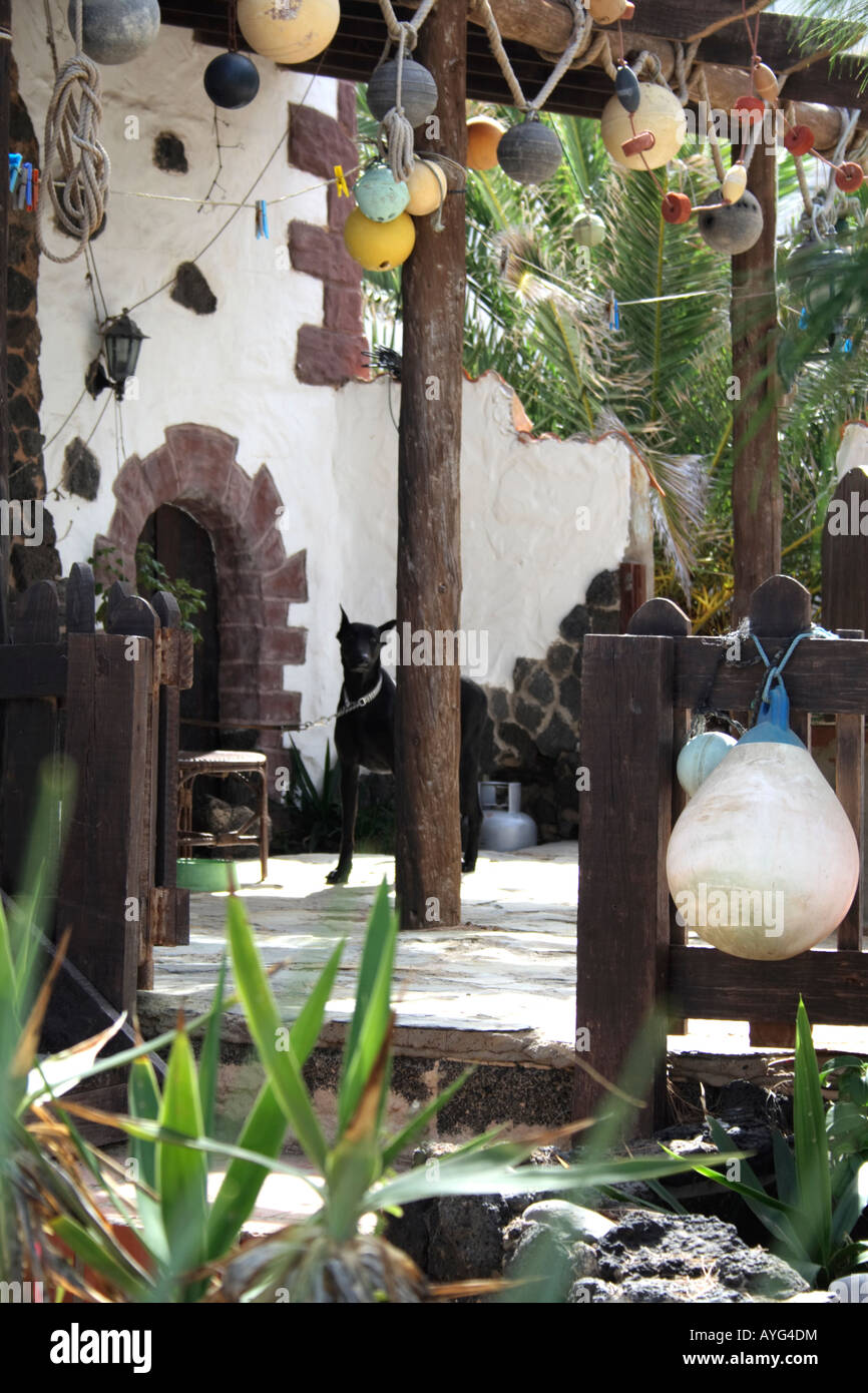 Spanish guard dog views us with interest Stock Photo - Alamy