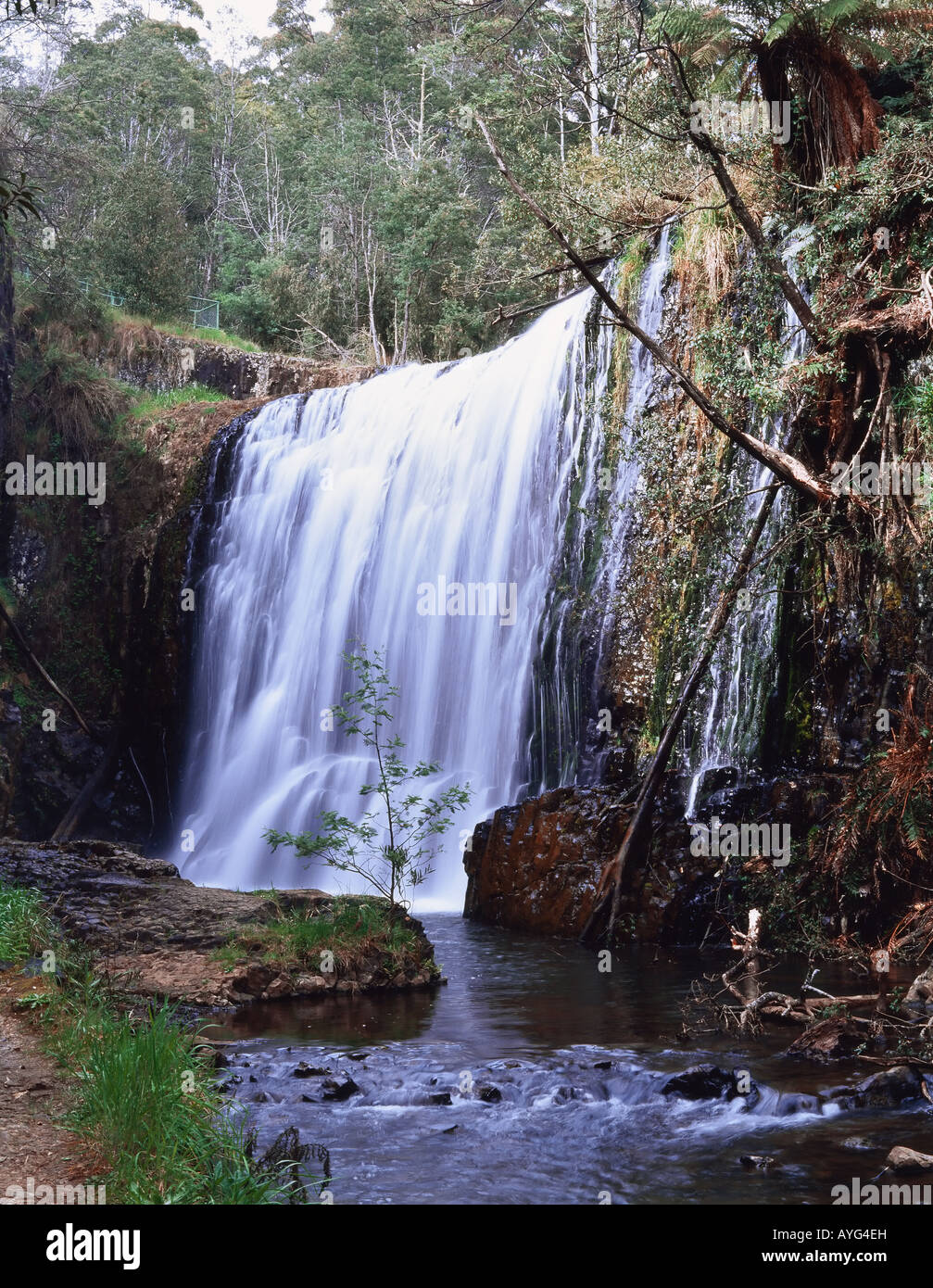 Tasmania waterfalls cascades hi-res stock photography and images - Alamy