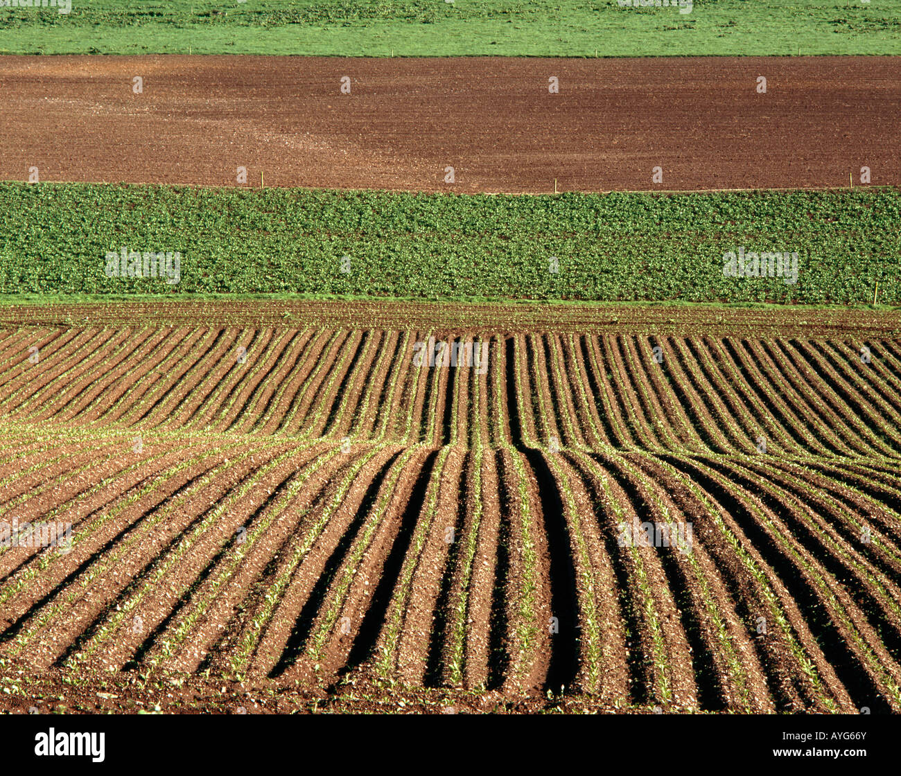 Tilled field hi-res stock photography and images - Alamy