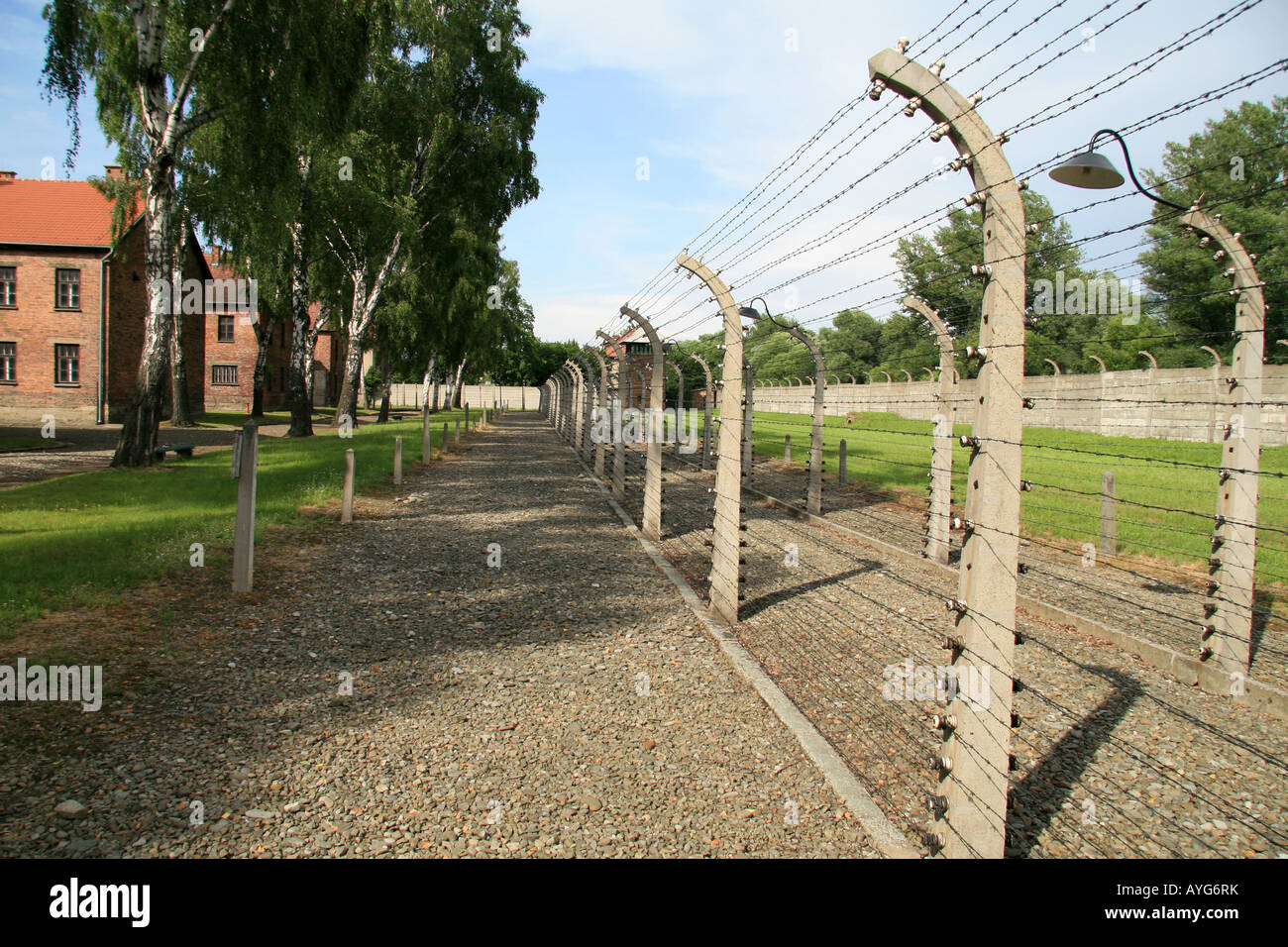 Concentration camp barbed wire fence hi-res stock photography and ...