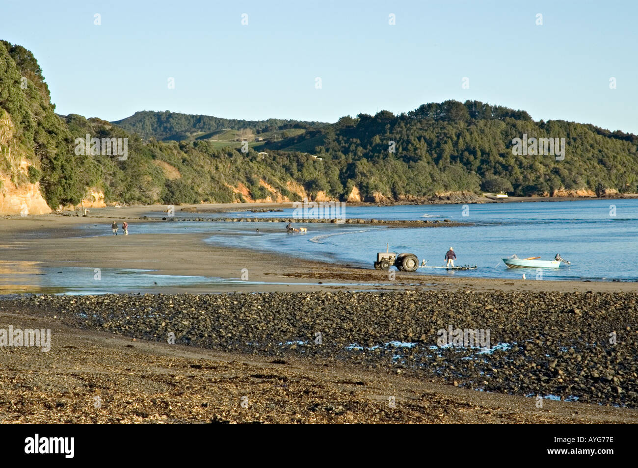 fisherman launching boat Orere Beach Stock Photo - Alamy