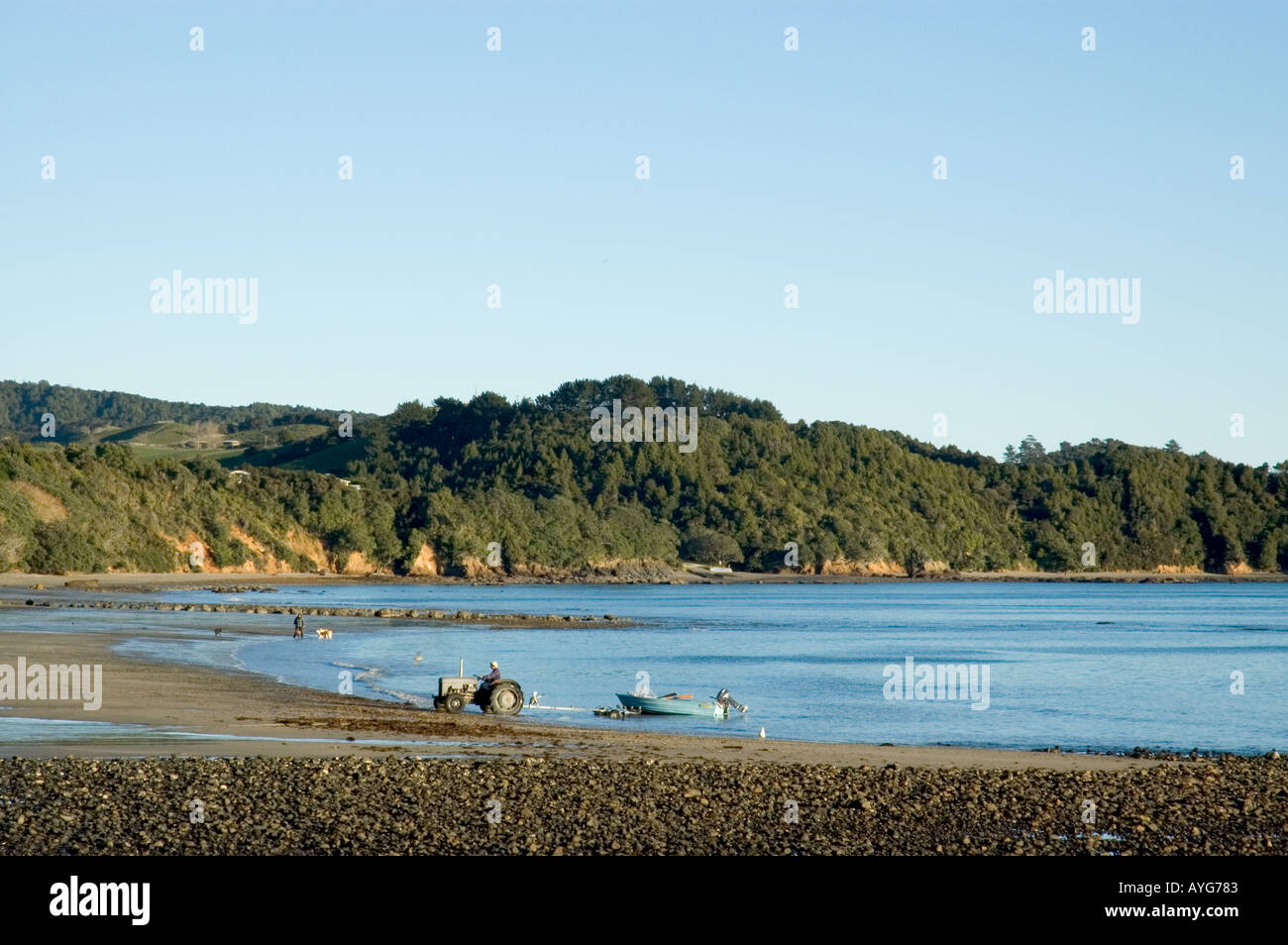 fisherman launching boat Orere Beach Stock Photo - Alamy