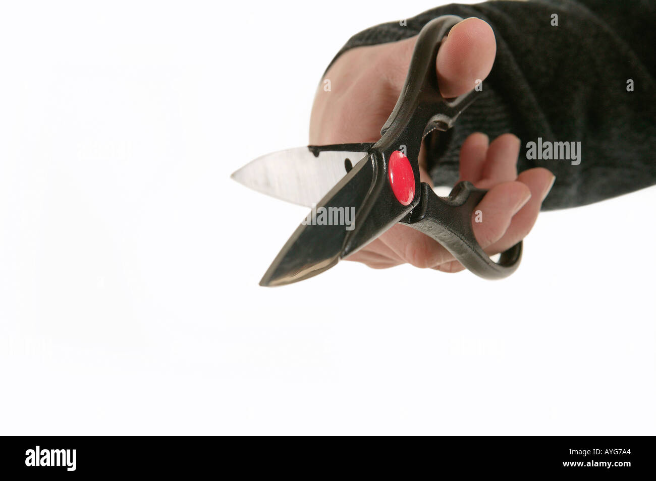 Scissors held in mans hand with white studio background Stock Photo - Alamy