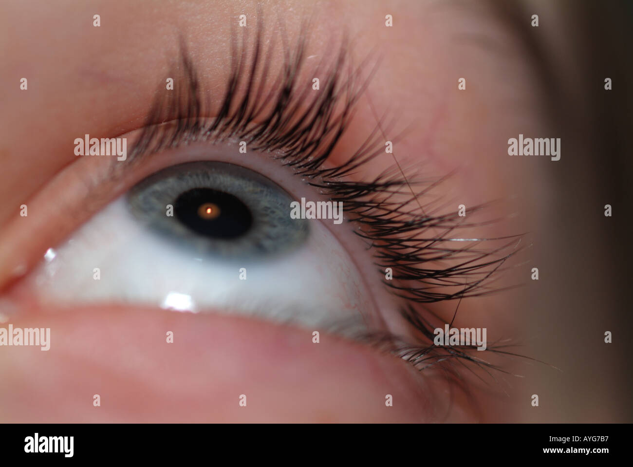 Occular High Resolution Stock Photography and Images - Alamy