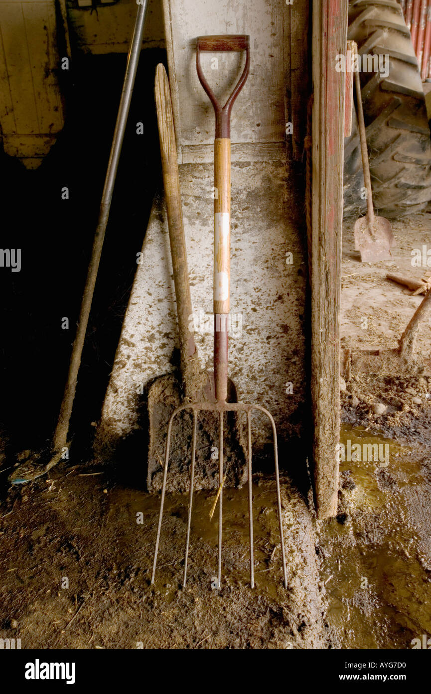 Tine dairy hi-res stock photography and images - Alamy