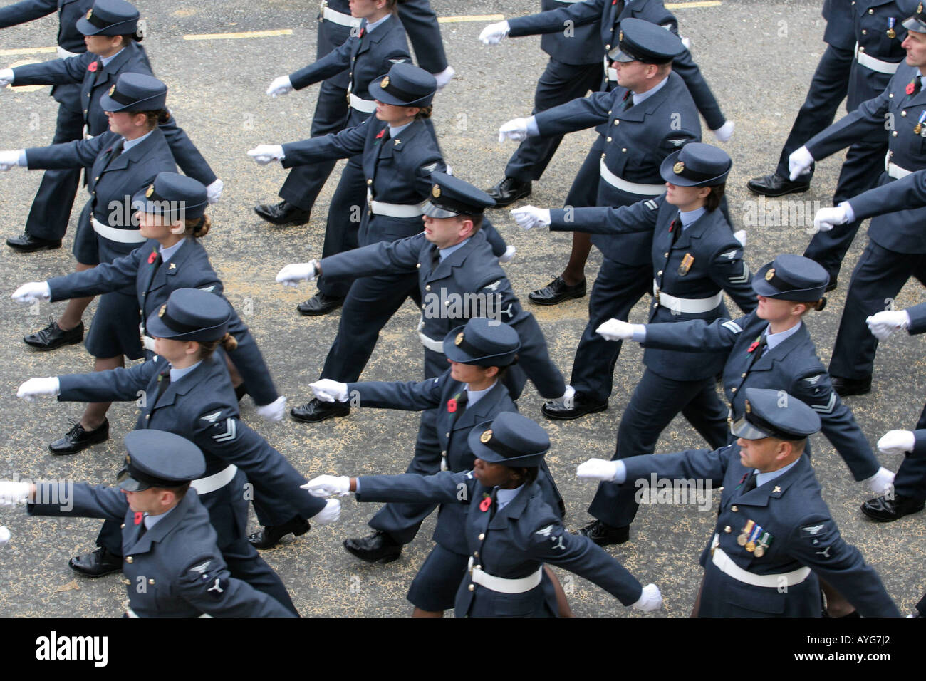 679th High Resolution Stock Photography and Images - Alamy