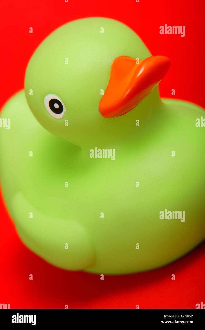 green rubber duck Stock Photo - Alamy